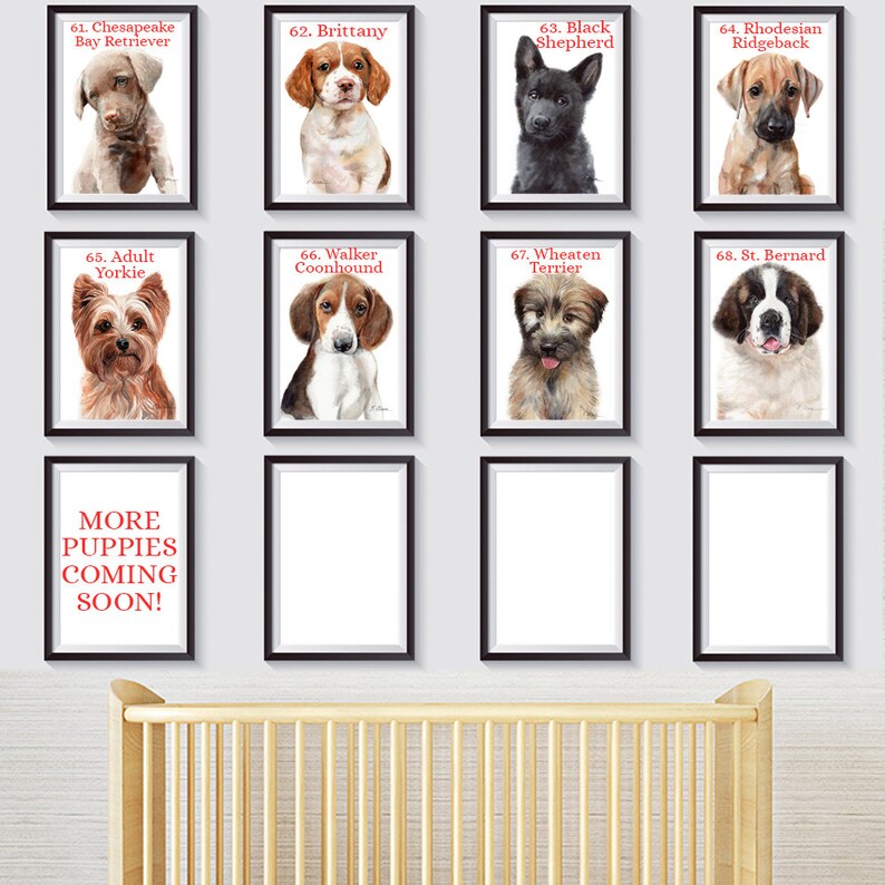 6 Puppy Prints Choose Your Breed Kids Room decor Puppy | Etsy