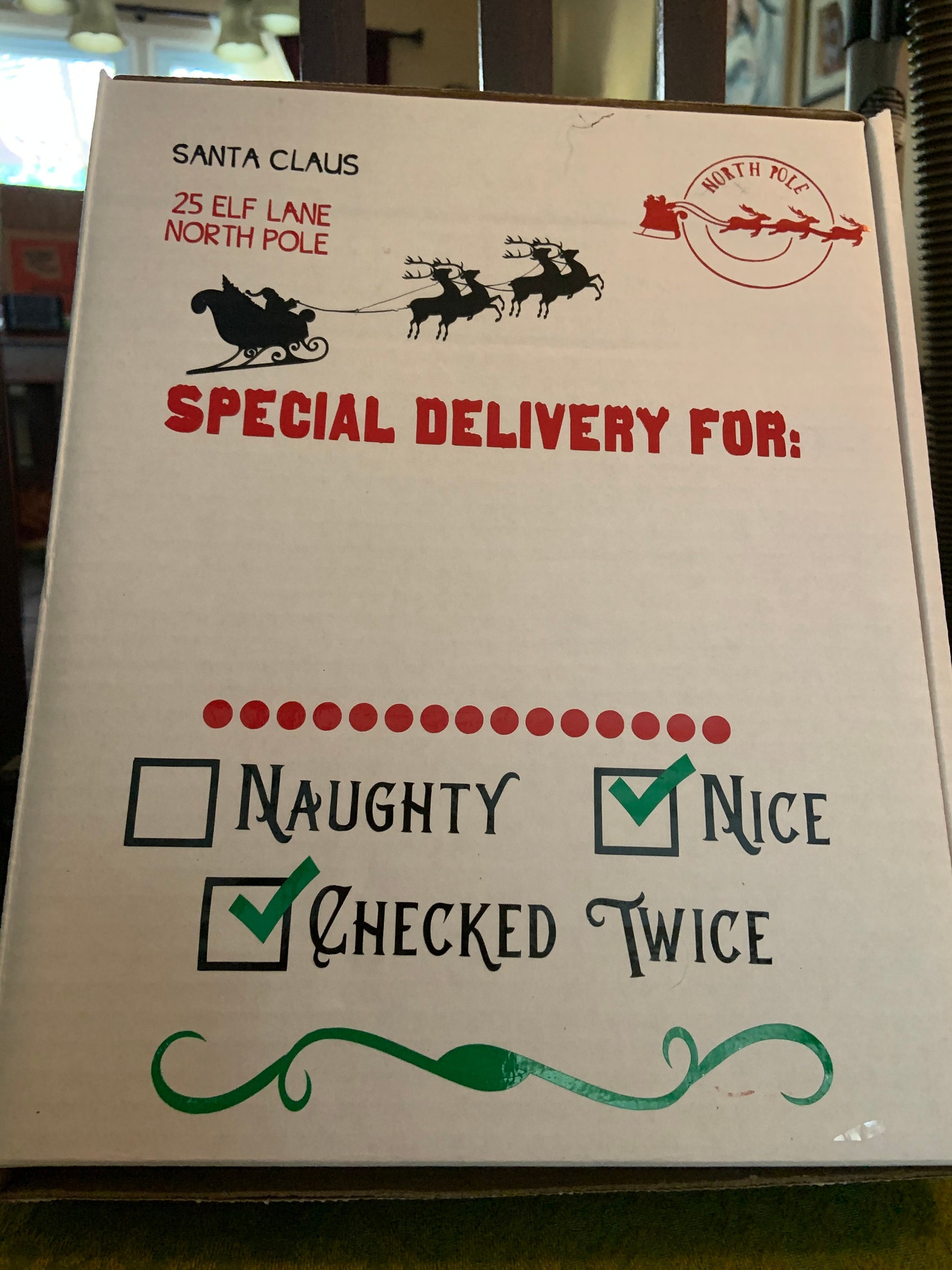 Elf Special Delivery Package Includes Santa Cam Elf Adoption - Etsy