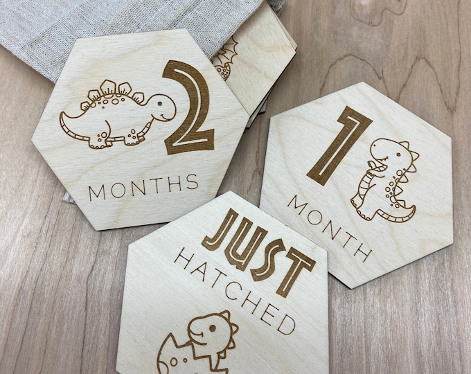 Dinosaur Milestone Cards, Baby Milestone Dinosaur Discs Marker, Wood ...