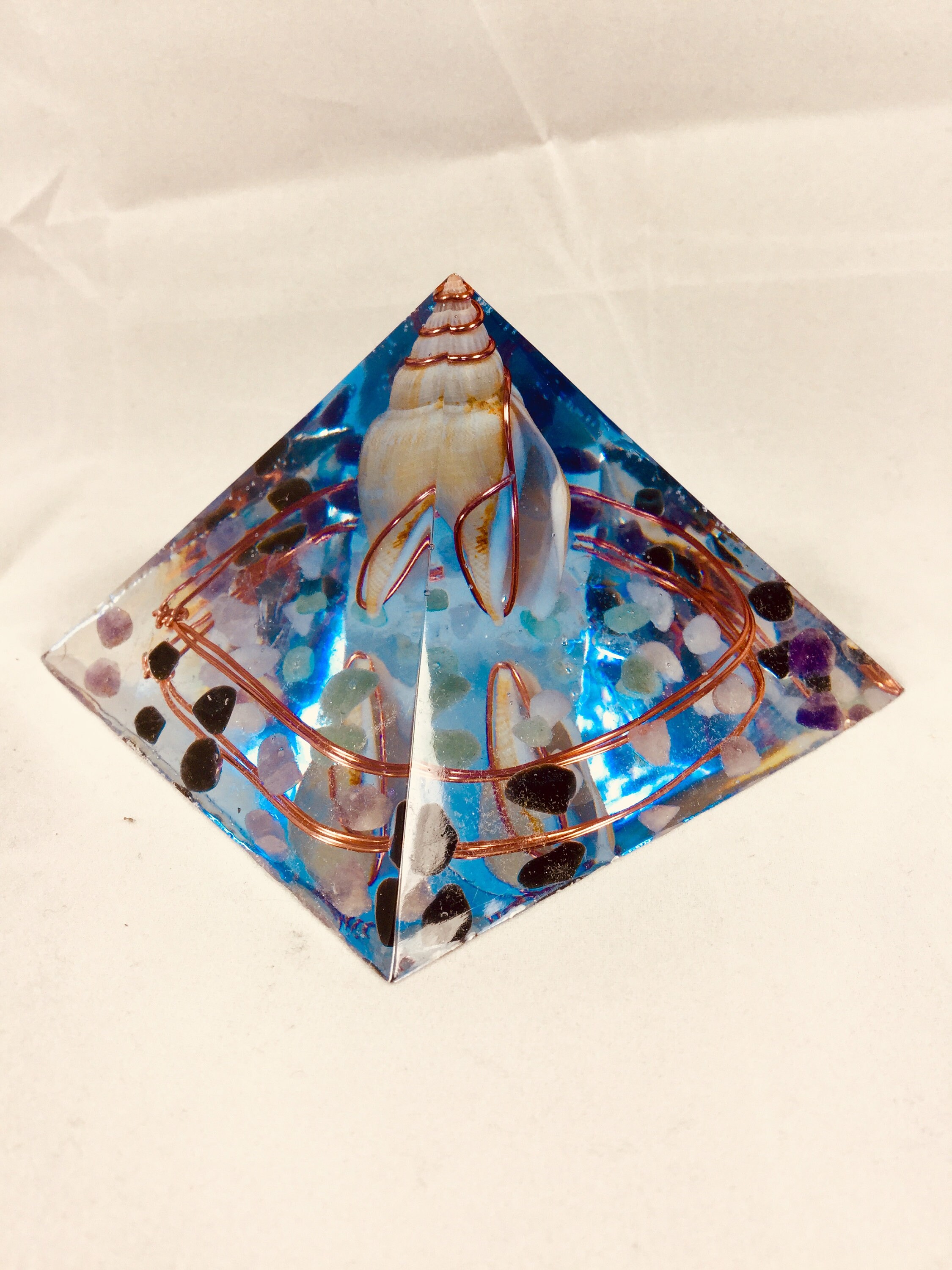 Mirrored Sea Shell - Etsy