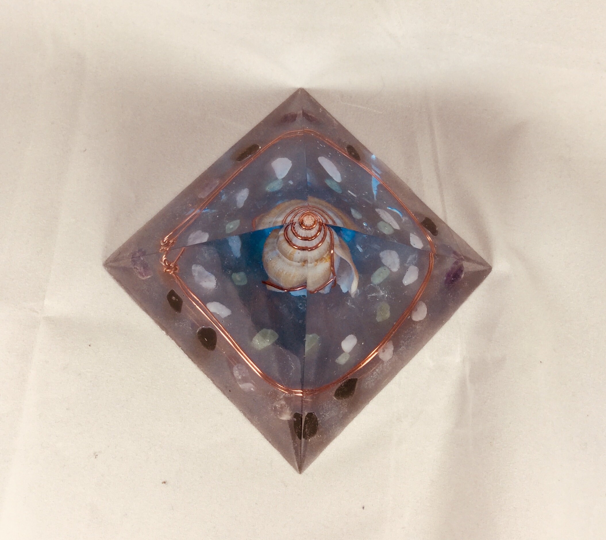 Mirrored Sea Shell - Etsy