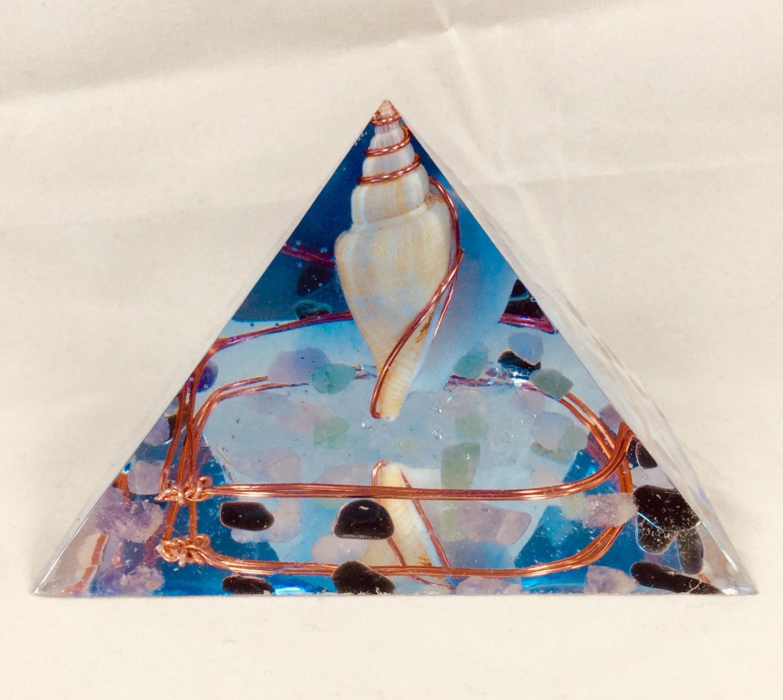 Mirrored Sea Shell - Etsy