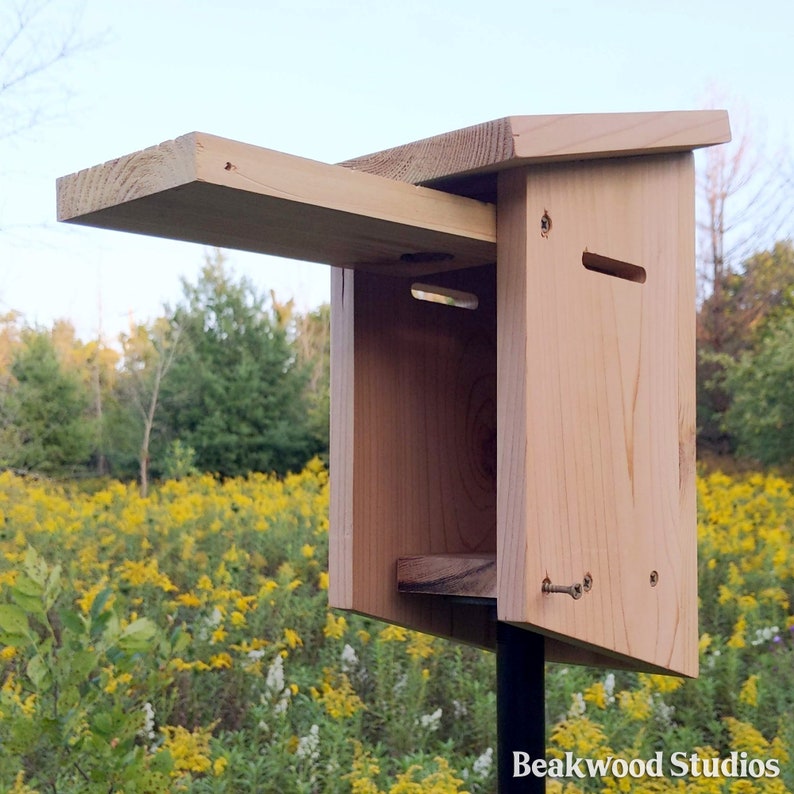 Cedar Nesting Box Birdhouse Surfboard Pattern Wren, Nuthatch, Chickadee ...