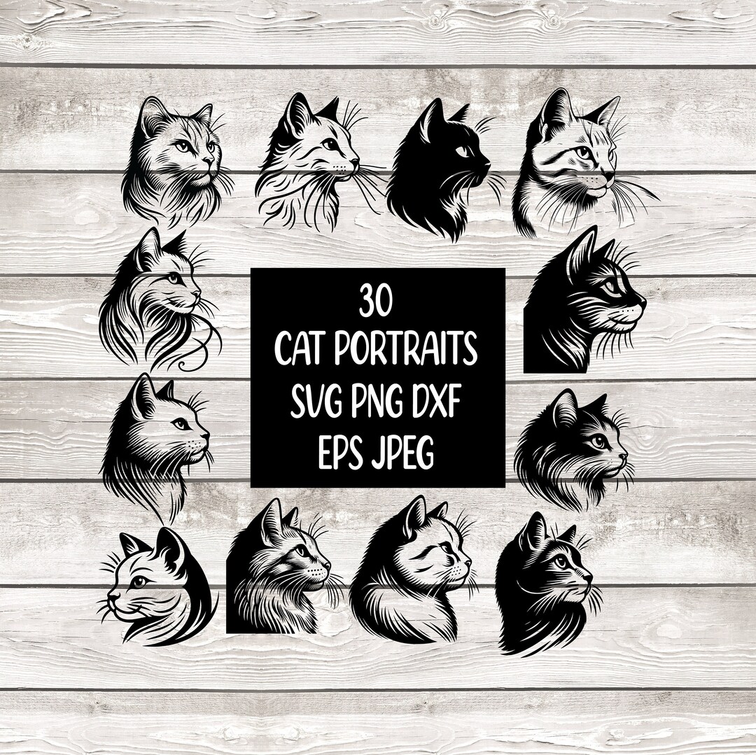 Cat SVG Cat PNG Cat Portrait Bundle Cute Cat Kitten Cat Head Cat ...