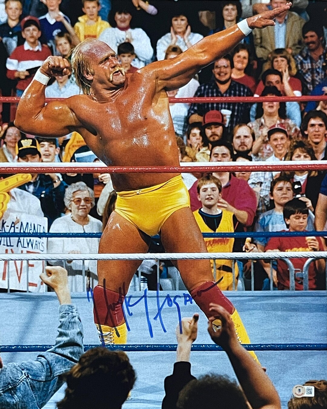 Hulk Hogan Autographed/signed 16x20 Photo Beckett - Etsy