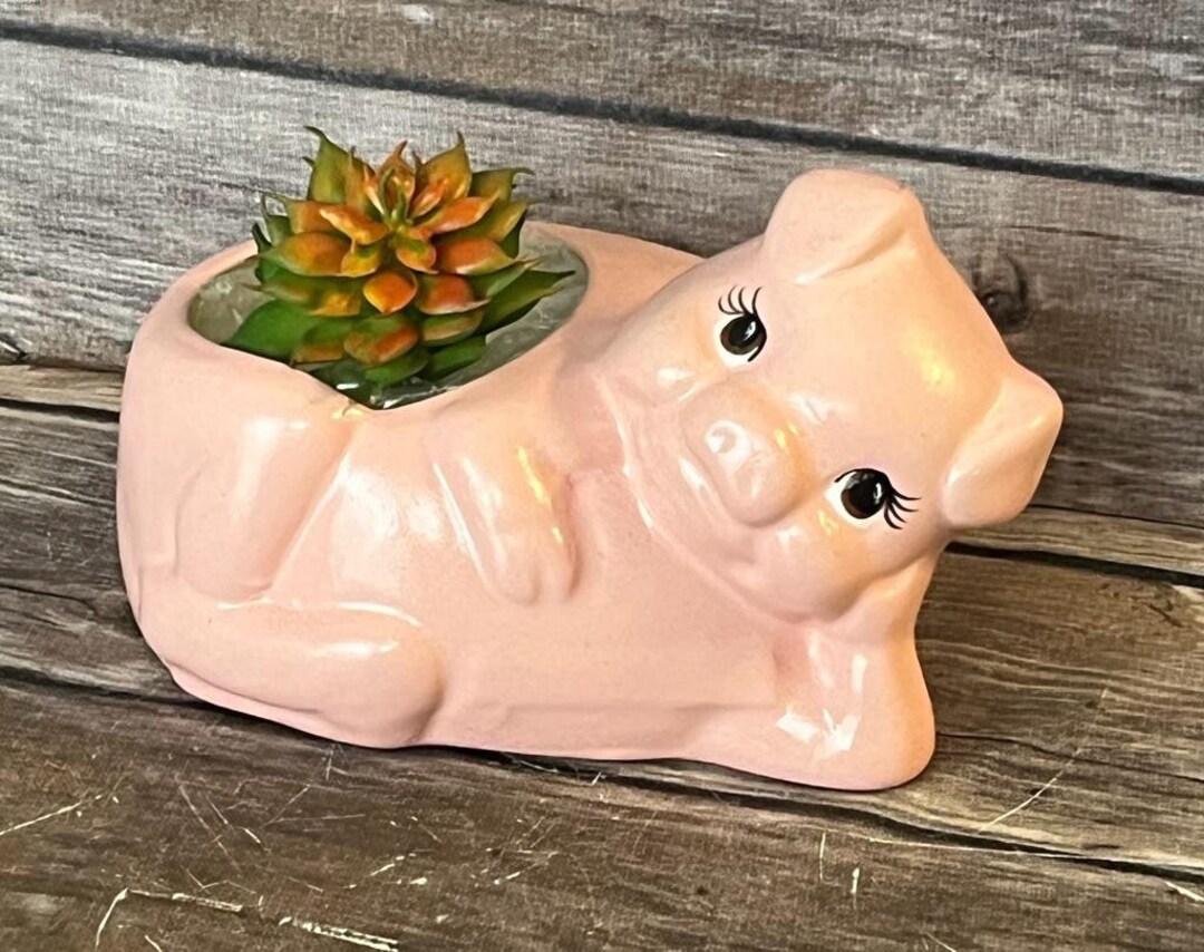 Small Pig Planter - Etsy