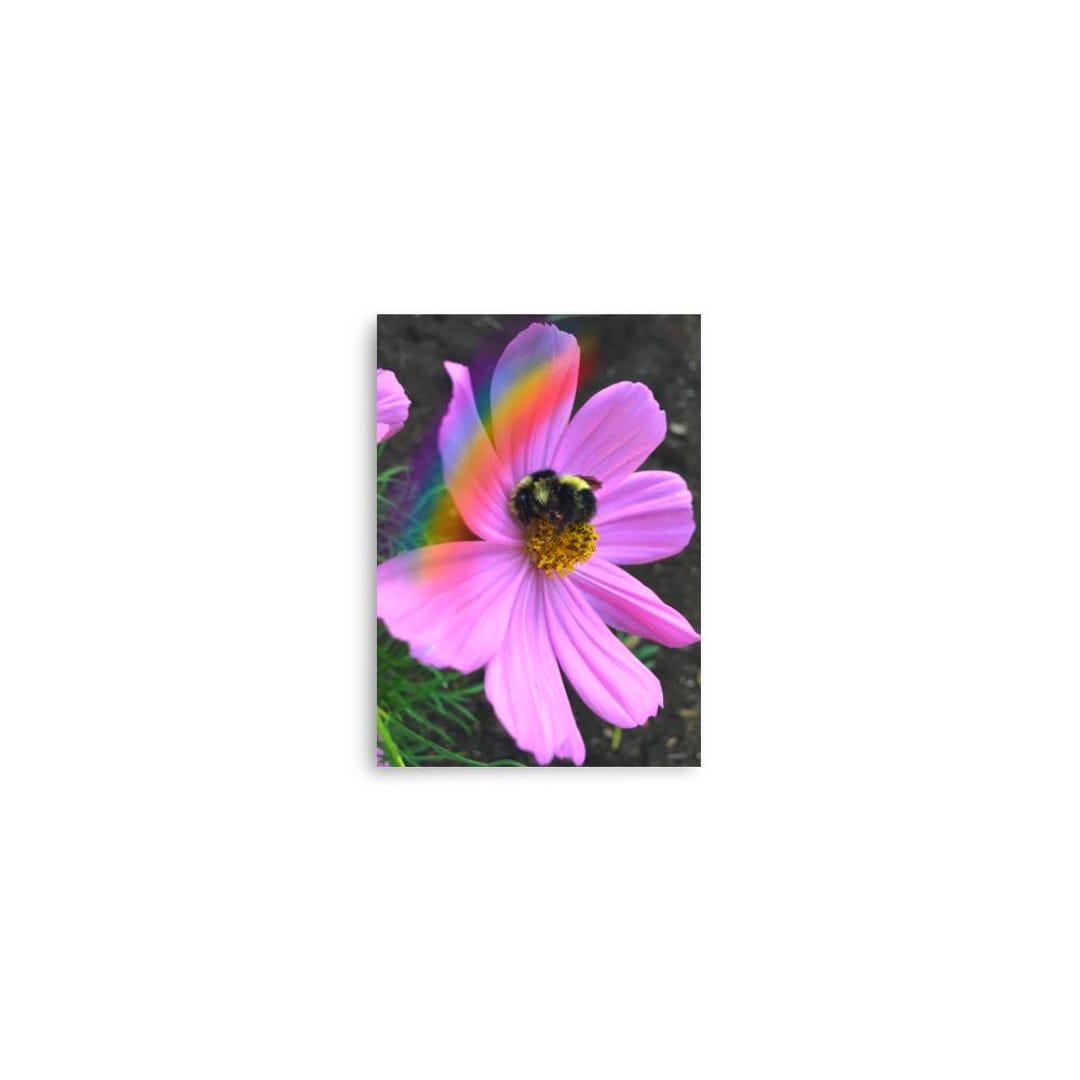 Rainbow Bumble Bee Art Print Rainbow Bee Print Rainbow Bee Home Decor ...