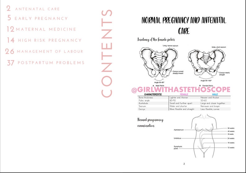 Obstetrics Notes Bundle - Etsy