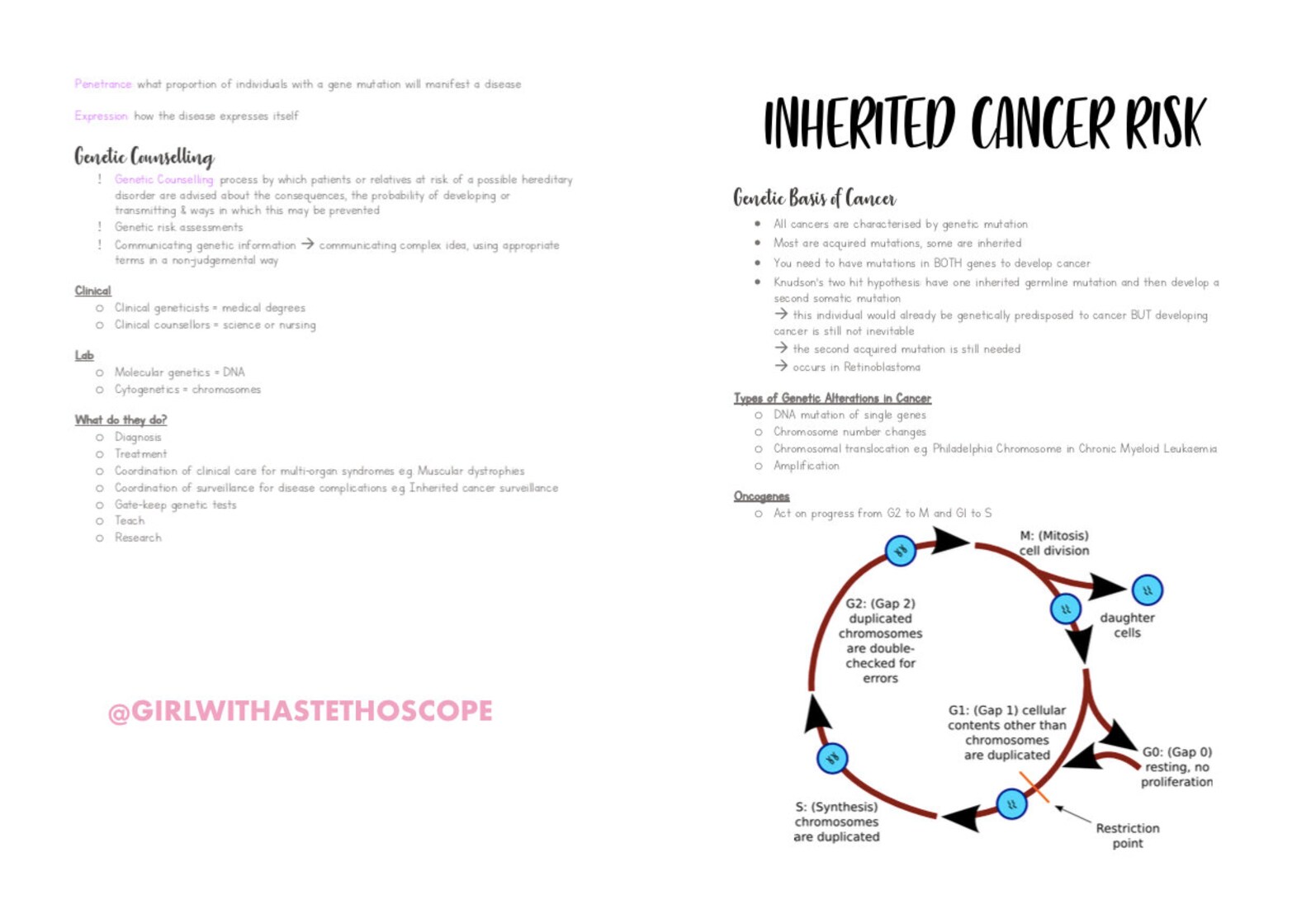 Genetics Notes Bundle - Etsy