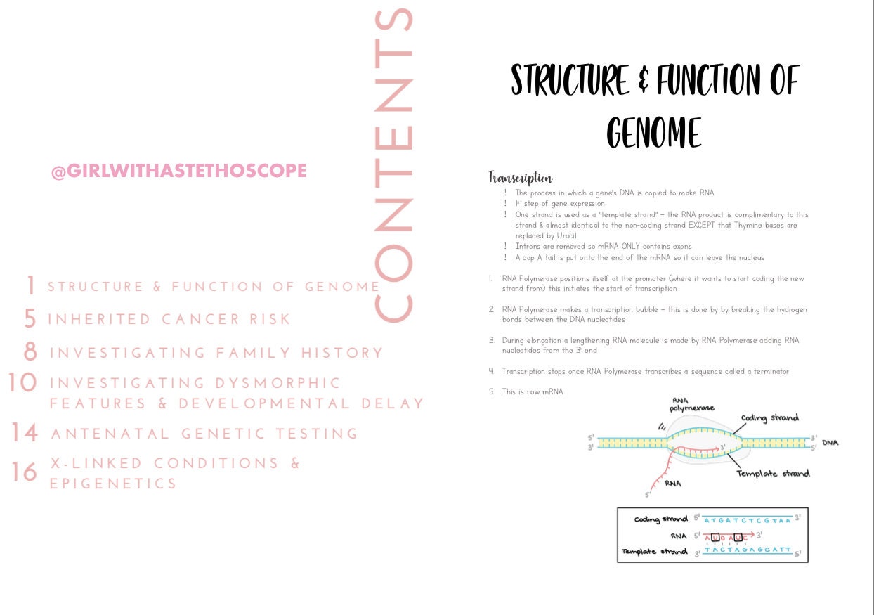 Genetics Notes Bundle - Etsy