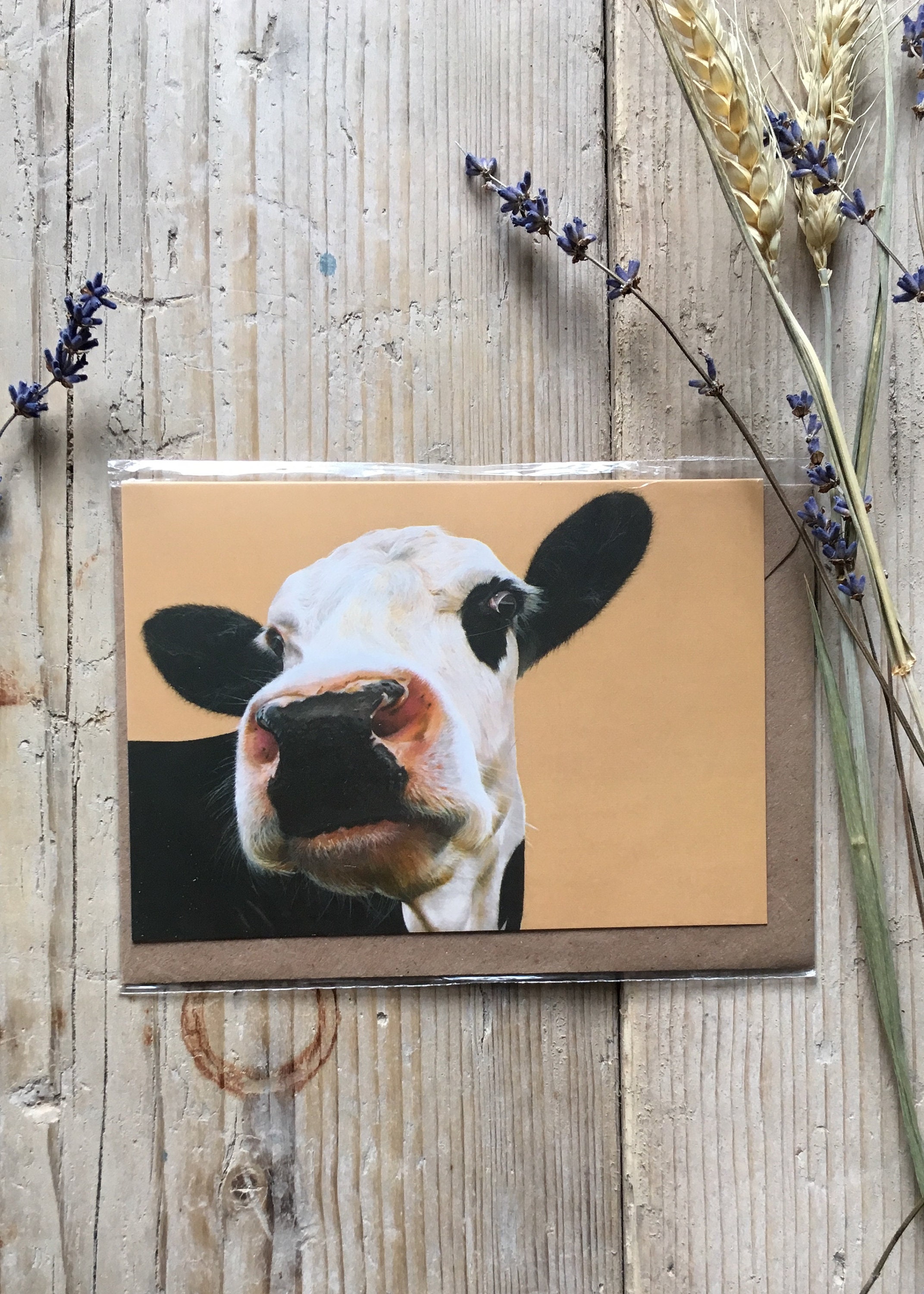 Quirky Cow card/blank/A6/Greeting Card/Cow Art/Cow gifts/Cow | Etsy