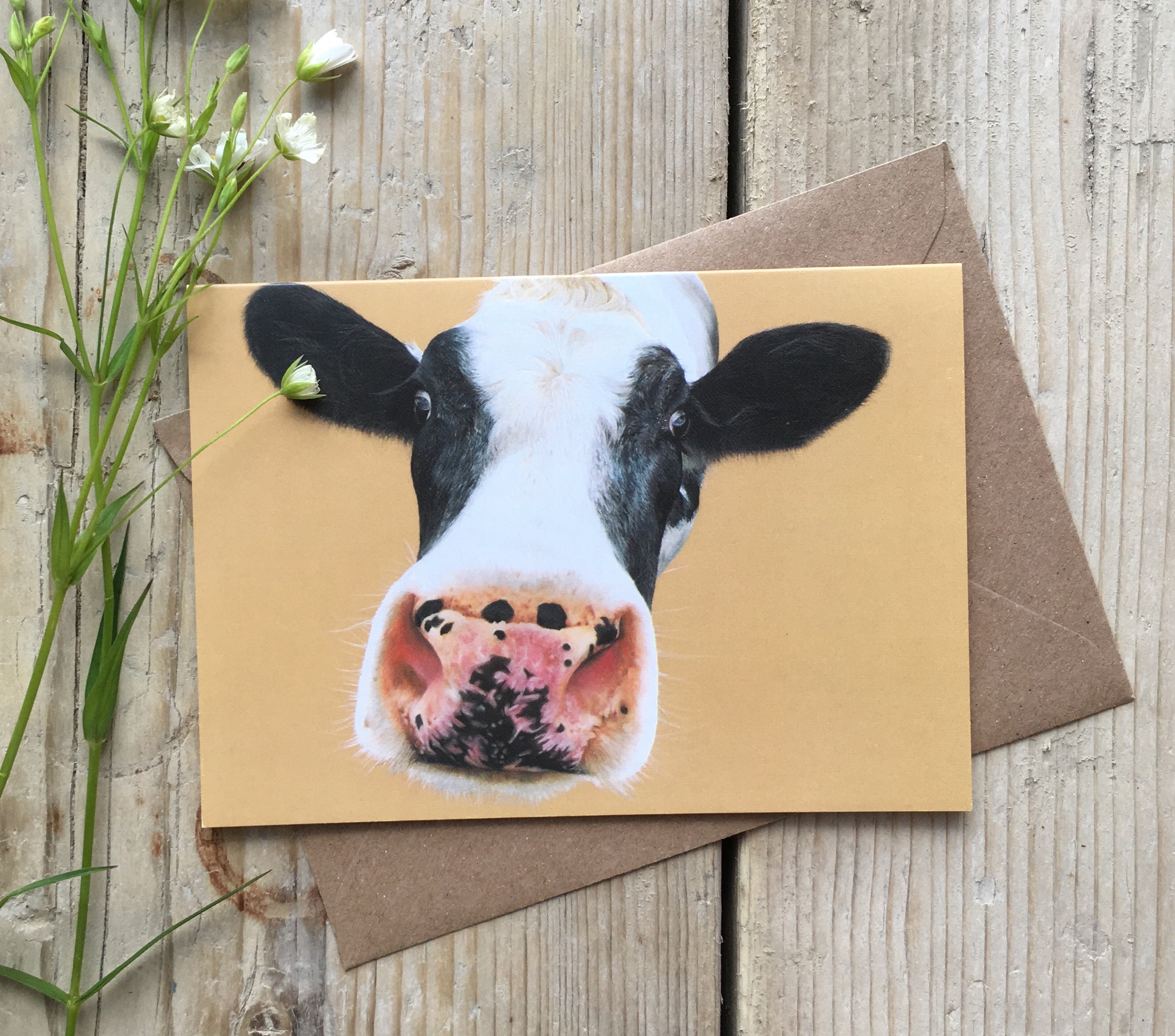 Cow Card/blank/a6 Greeting Card/cows/cow Gifts/ Gifts for Him/handmade ...