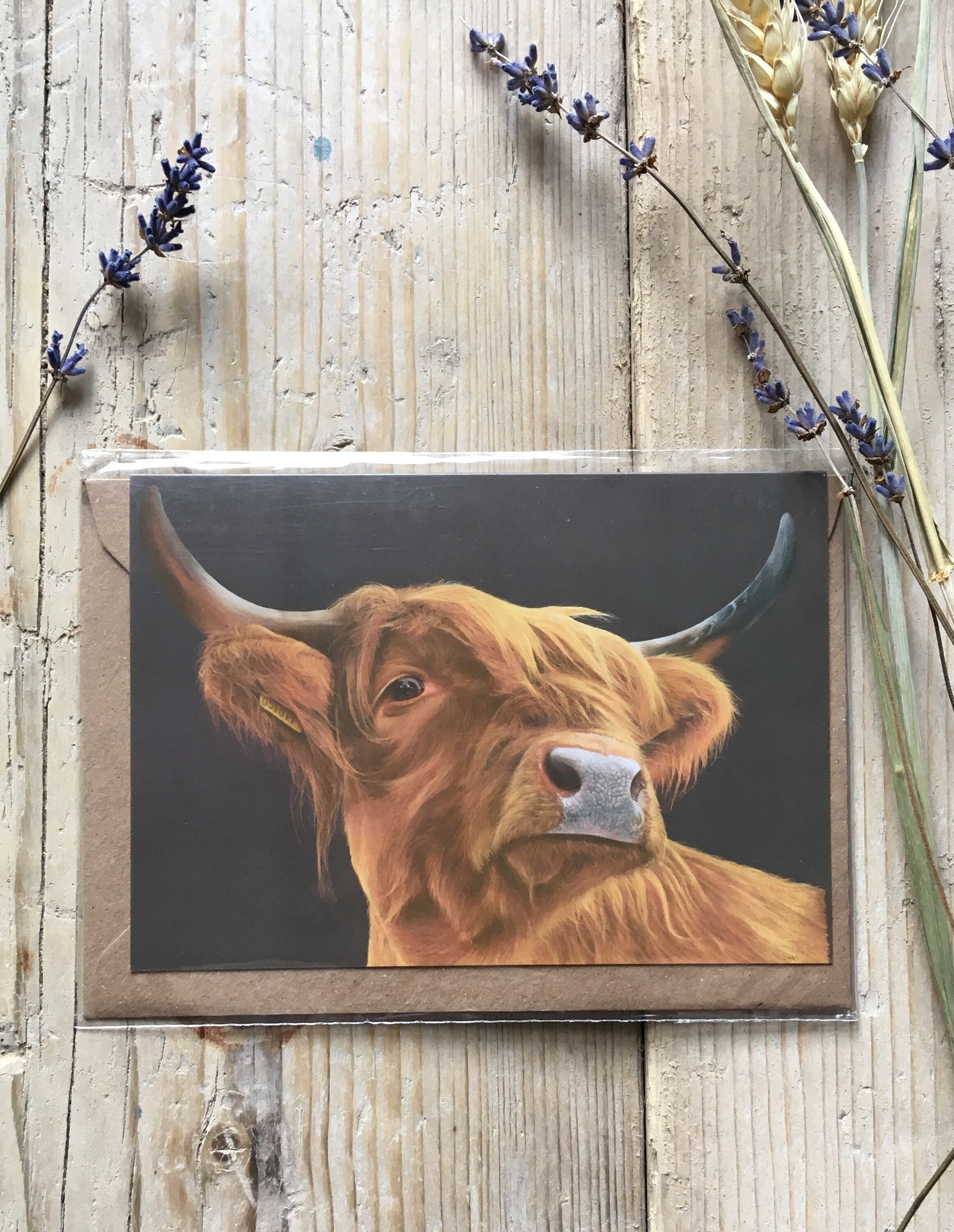 Highland Cow 'highland Coo' A6 Greeting Card/highland - Etsy
