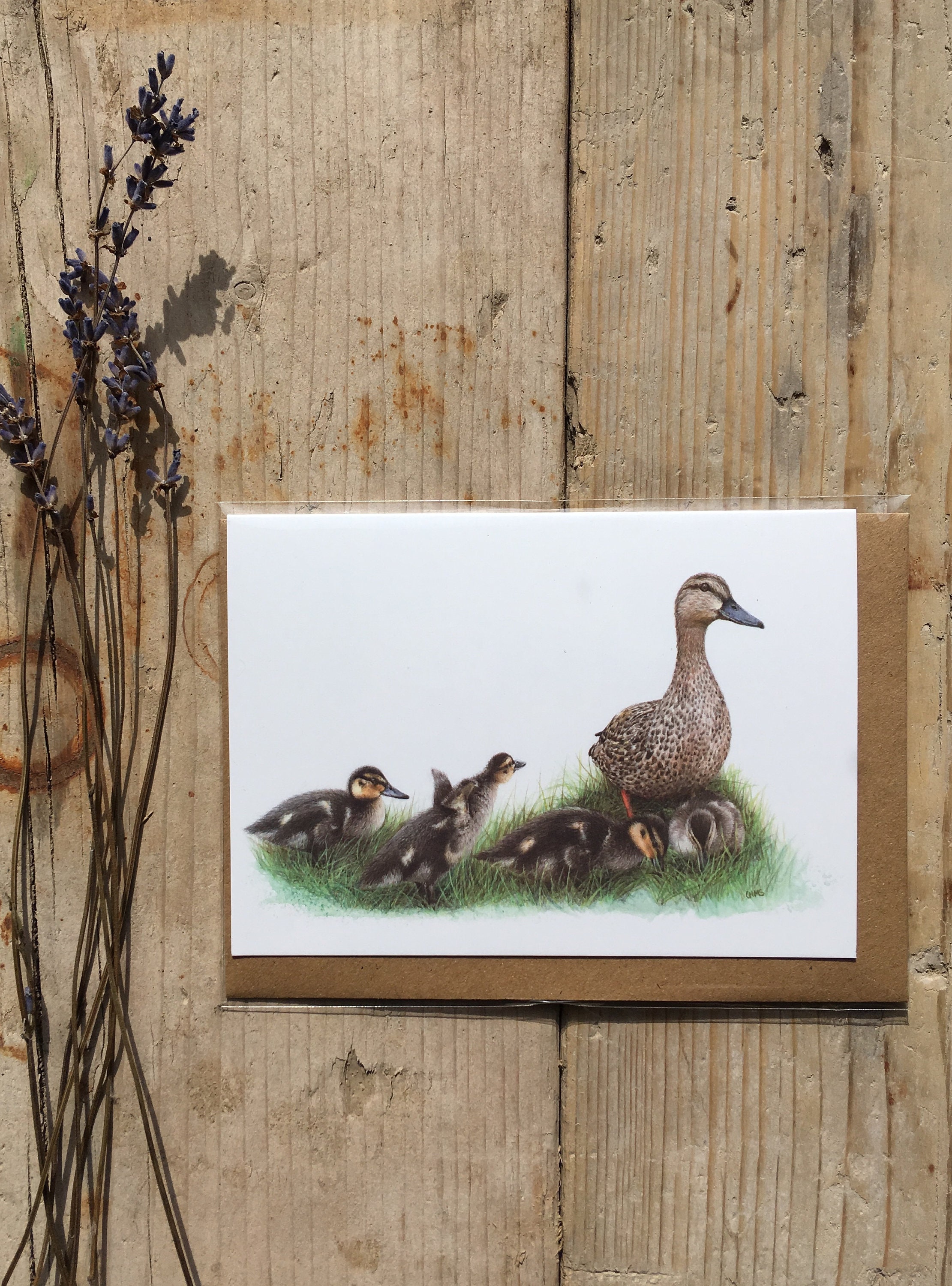 Duck and Duckling Greeting Card 'family Time' A6/blank - Etsy