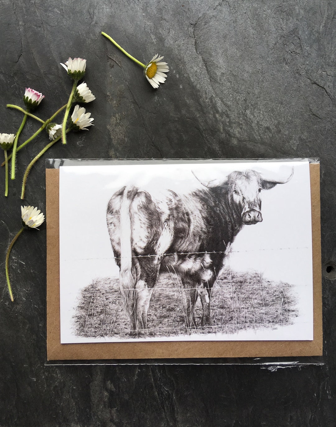 Longhorn Cow Card 'longhorn Cow' A6 Greeting Card/cow Greeting Card ...