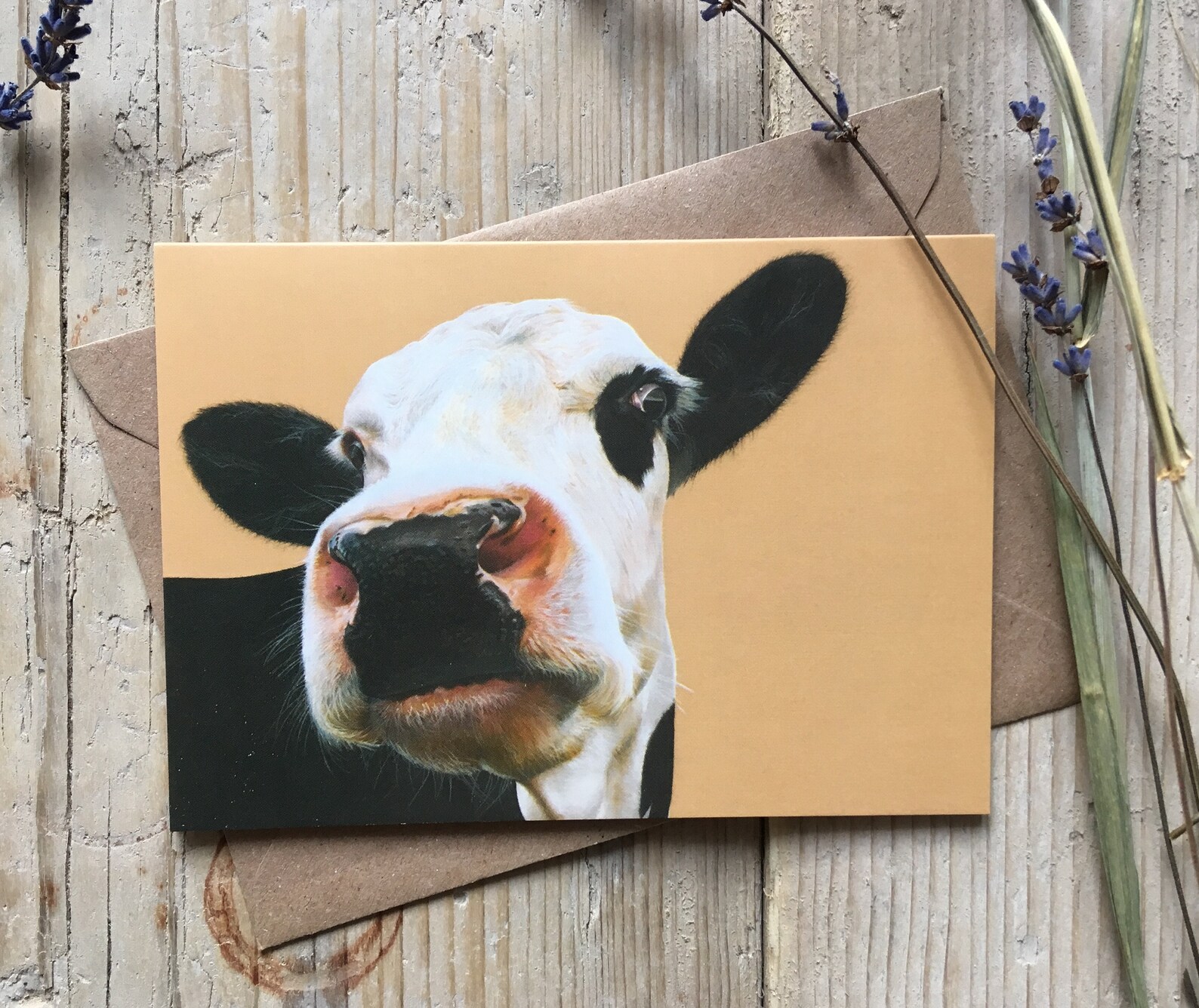 Quirky Cow Card/blank/a6/greeting Card/cow Art/cow Gifts/cow Blank Card ...