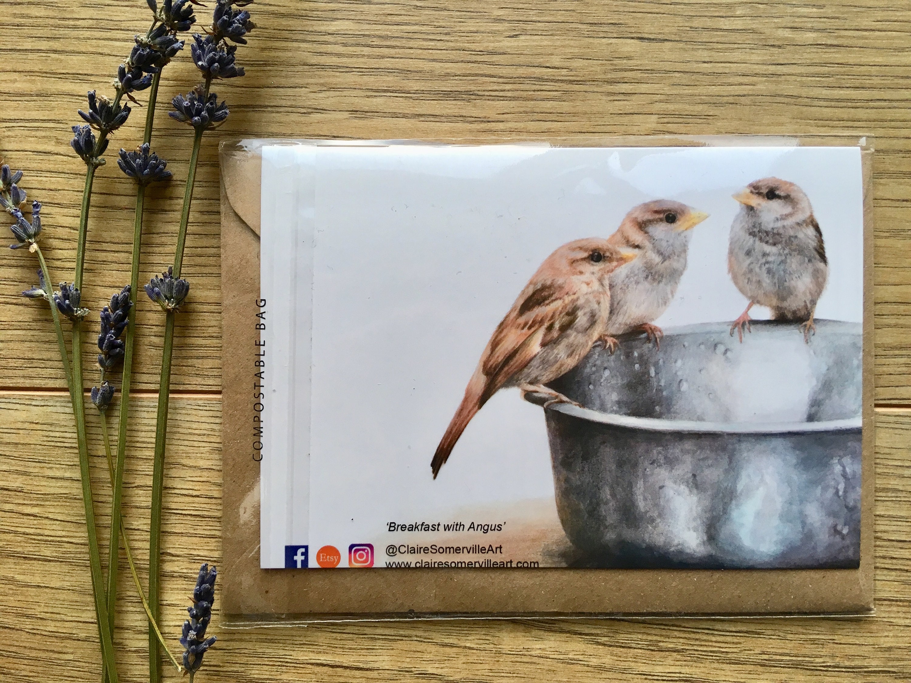 House Sparrow Card/greeting Cards/blank Greeting Cards/sparrow Painting ...