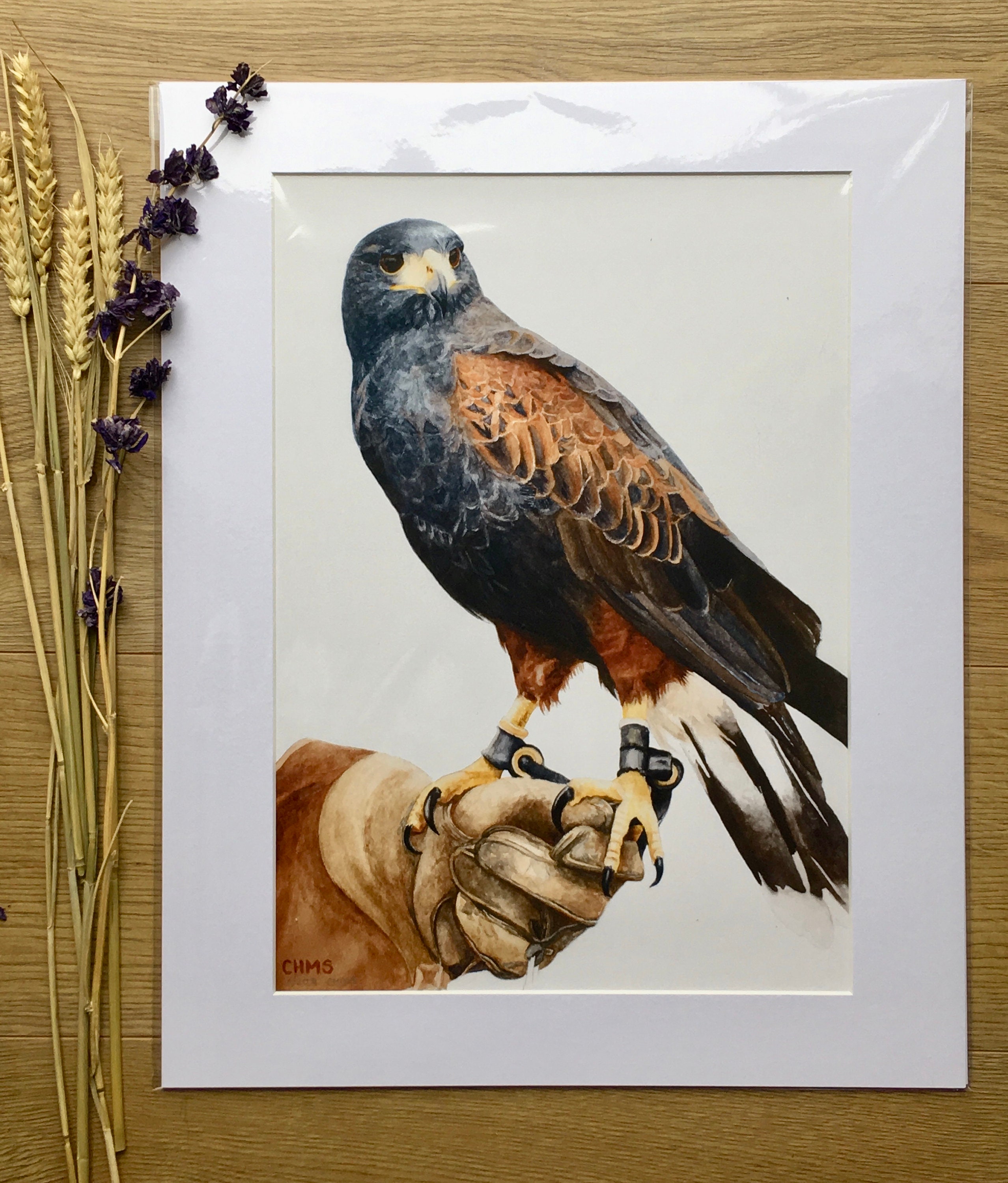 Harley handmade original print of a Harris Hawk hand printed Mixed ...