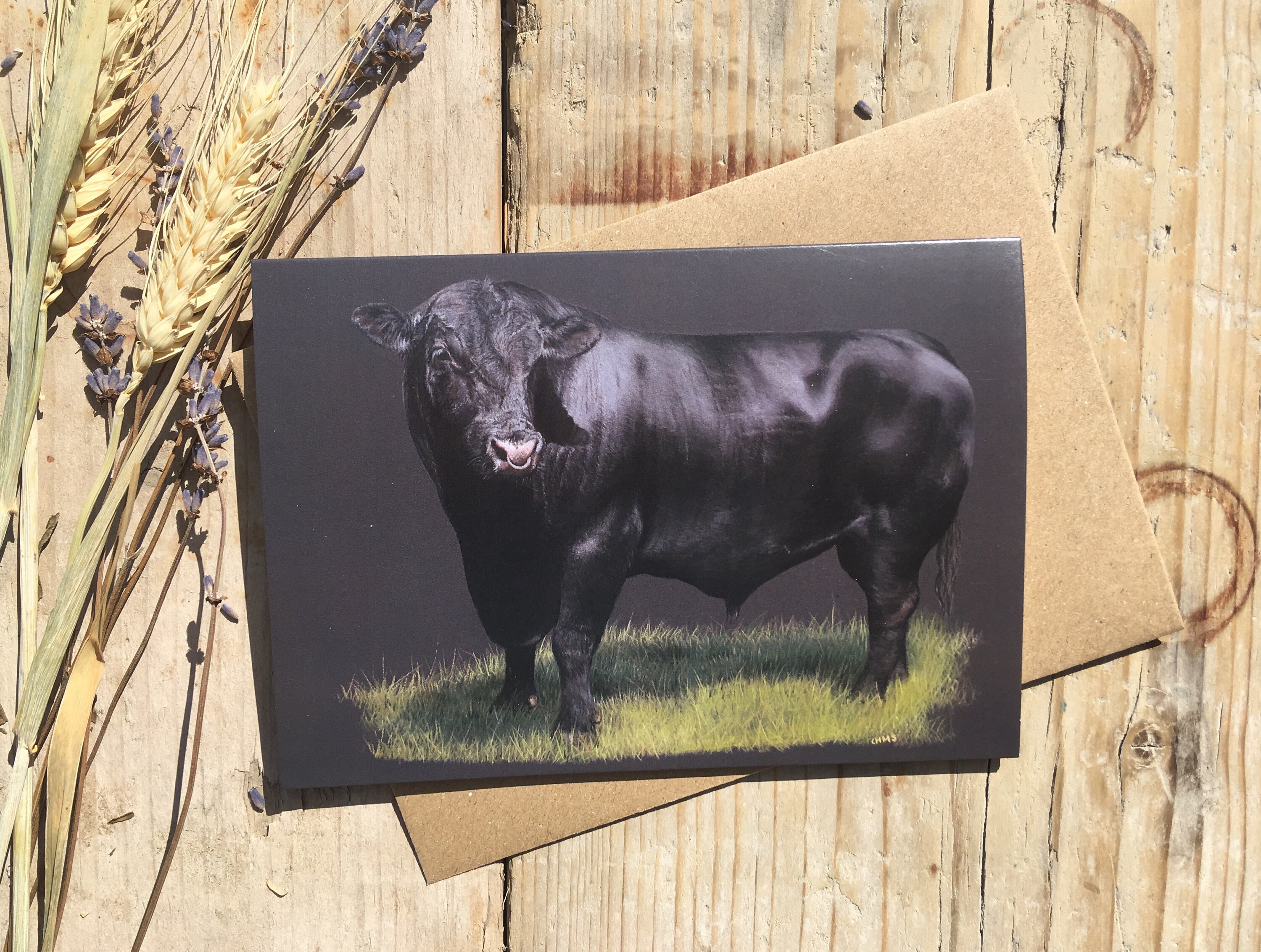 Aberdeen Angus 'progress' A6 Blank Greeting Card/aberdeen Angus ...