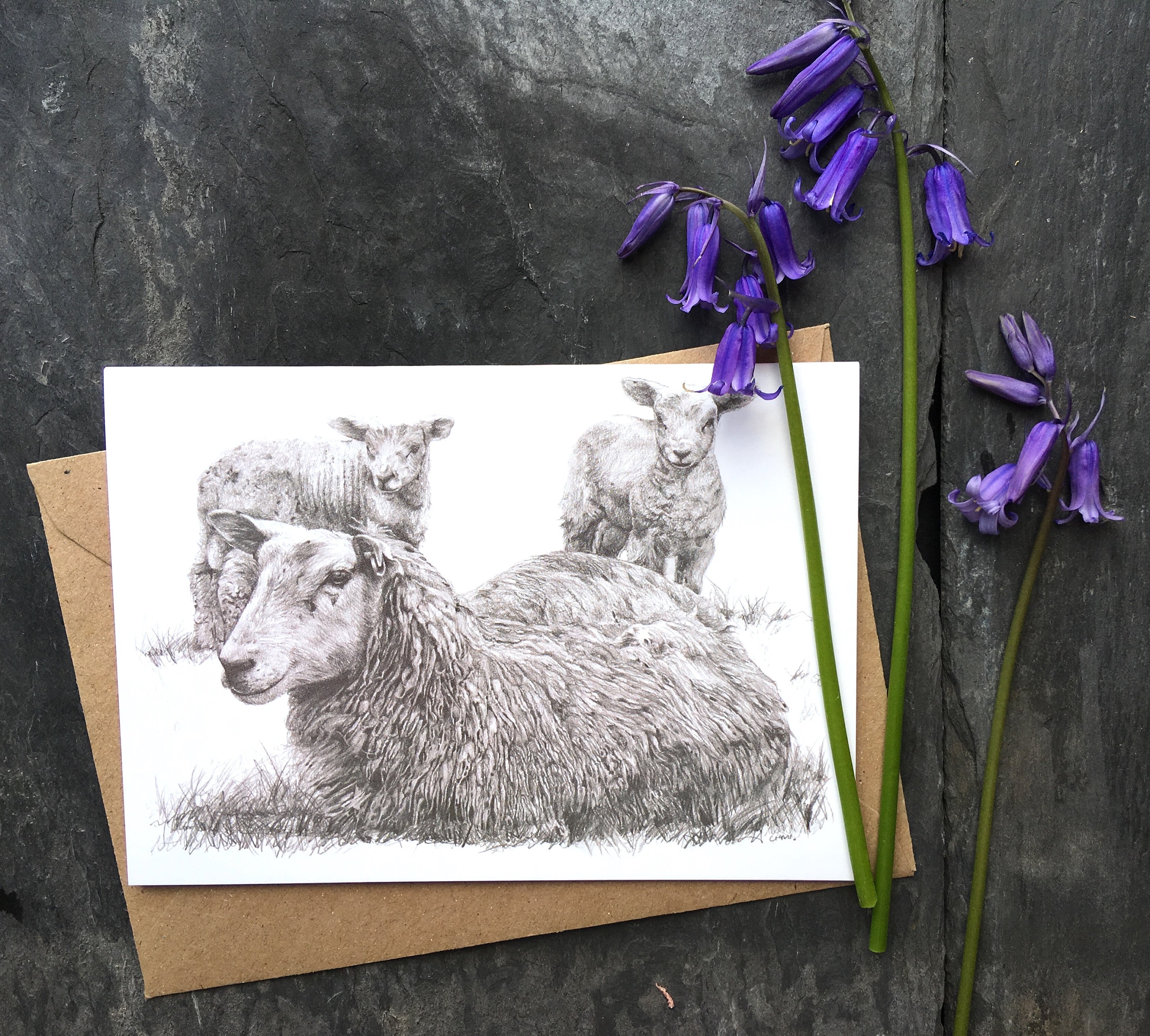 Sheep Greeting Card/occasional Card/a6 Greeting Card/spring Time Gift ...