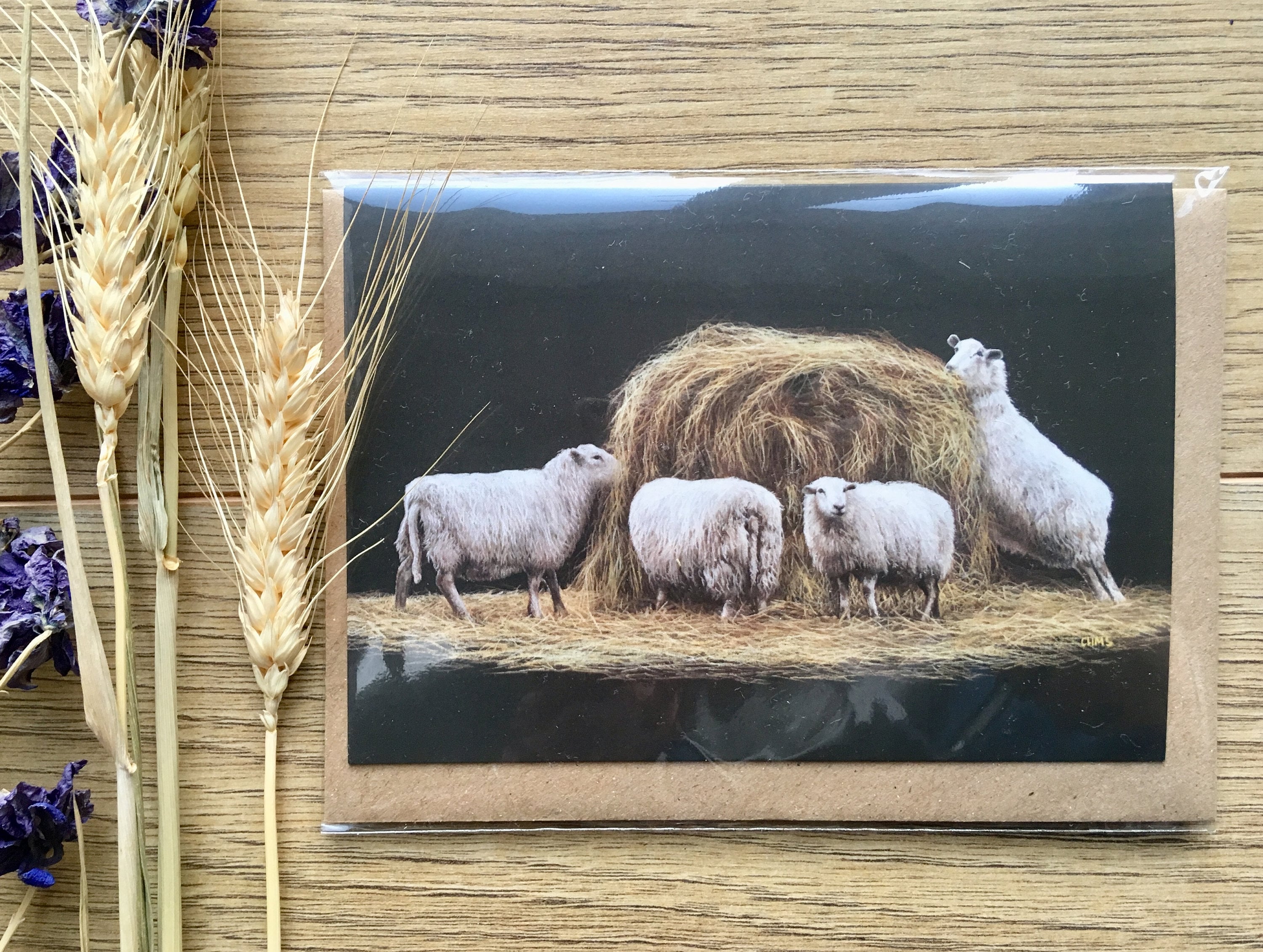 Sheep/greeting Card/blank Greeting Card/sheep/sheep Gifts/sheep Farming ...