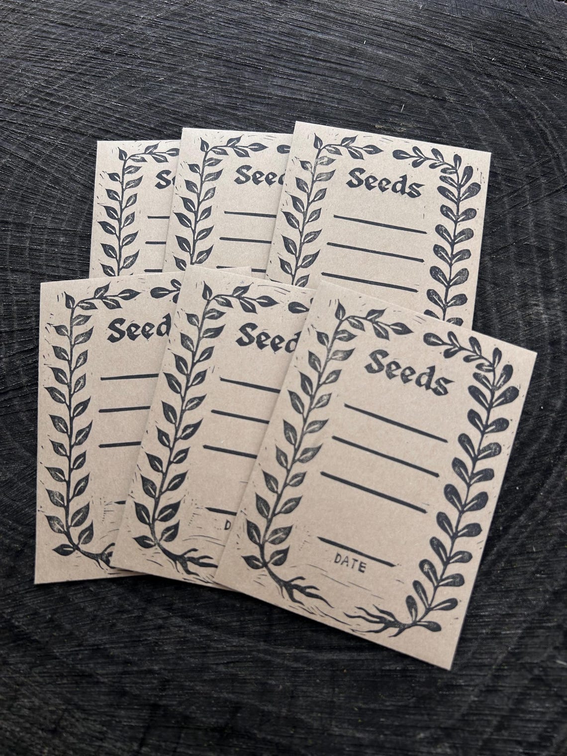 Saving Seed Packs - Medieval Plants Seed Pack - Set of 6 - Etsy