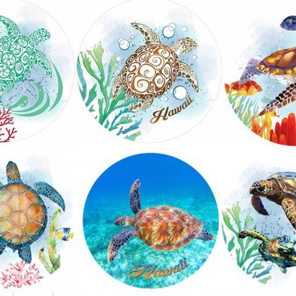 Hawaii Coasters - Etsy