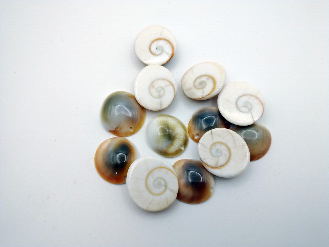 Thai Shiva Eye Charms, Shell Charms, DIY Jewelry, Natural Shells 1 Pc ...