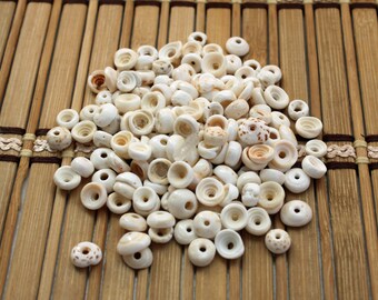 Puka Shells (1,000+ Puka Shells) | Etsy