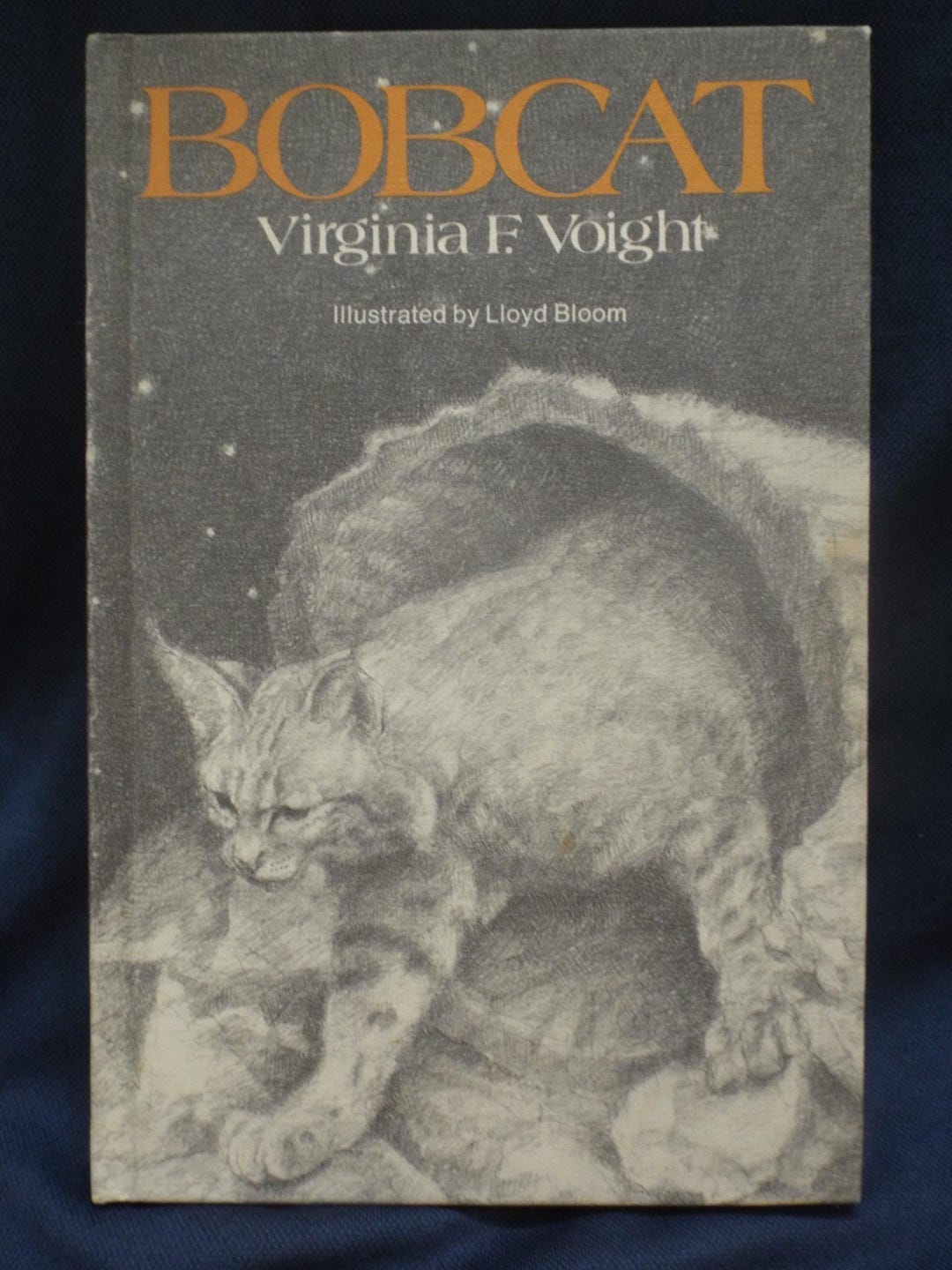 1978 Bobcat, A Weekly Reader Book Vintage Children’s Book - Etsy