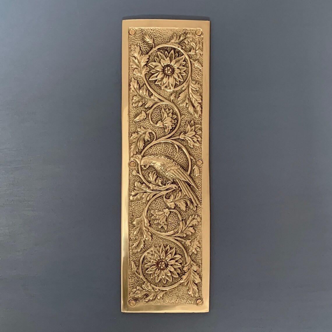 12 Brass Finger Door Push Plates Arts Crafts Parrot | Etsy UK