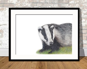 A4 Badger Wall Art Colourfull Wildlife Print moonlight Forest Scene ...