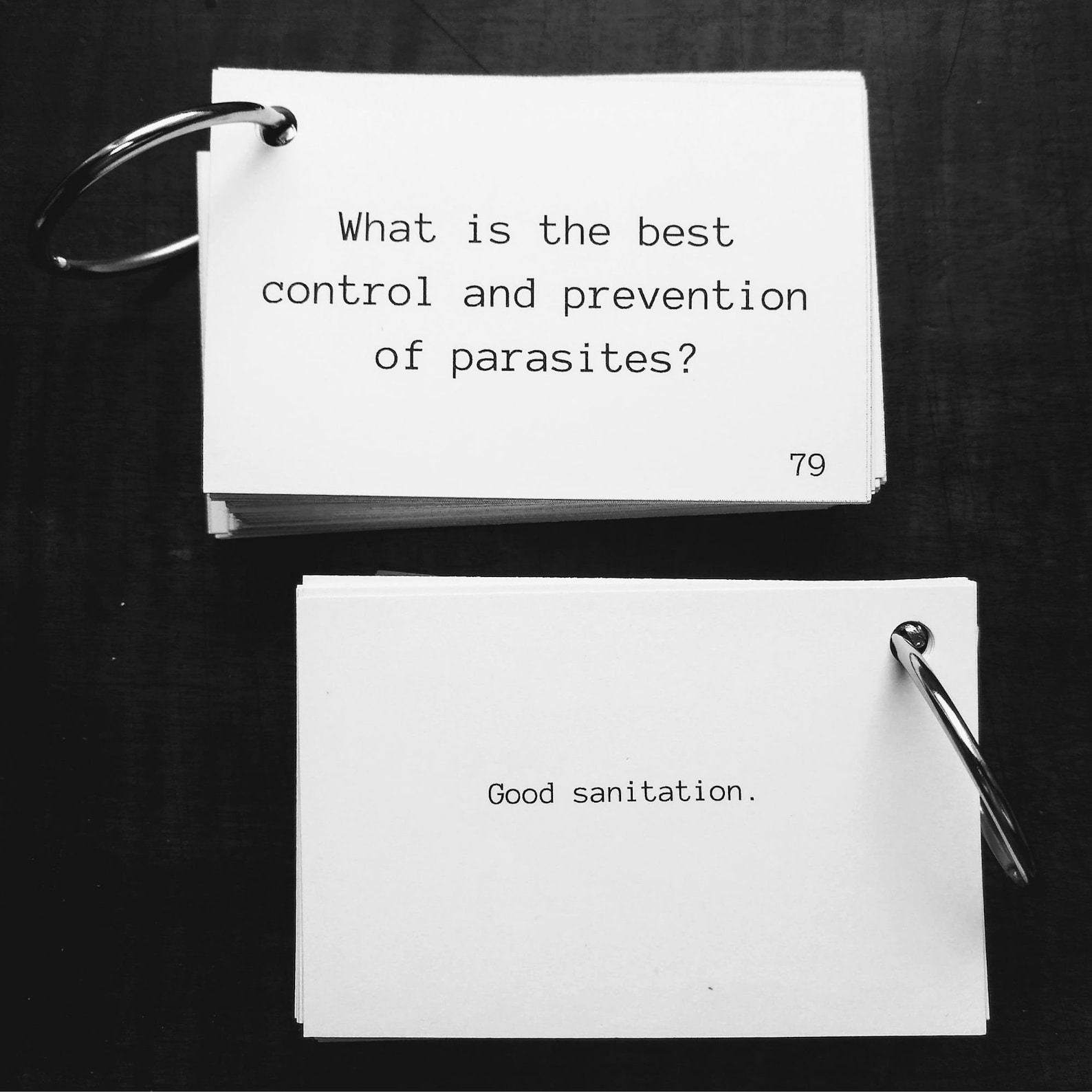 Goat Trivia Flash Cards, Goat Facts Study Cards, Goat Bowl Question ...