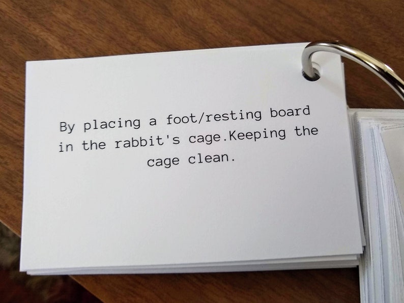Rabbit Trivia Flash Cards, Rabbit Fact Study Cards, PDF File - Etsy