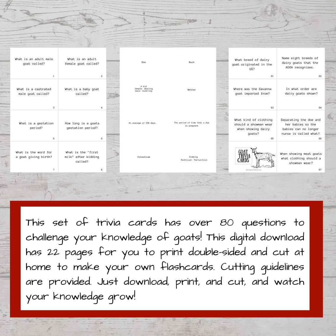 Goat Trivia Flash Cards, Goat Facts Study Cards, Goat Bowl Question ...