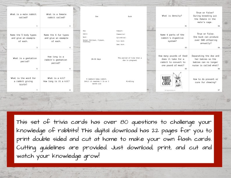 Rabbit Trivia Flash Cards Rabbit Fact Study Cards PDF File - Etsy 日本