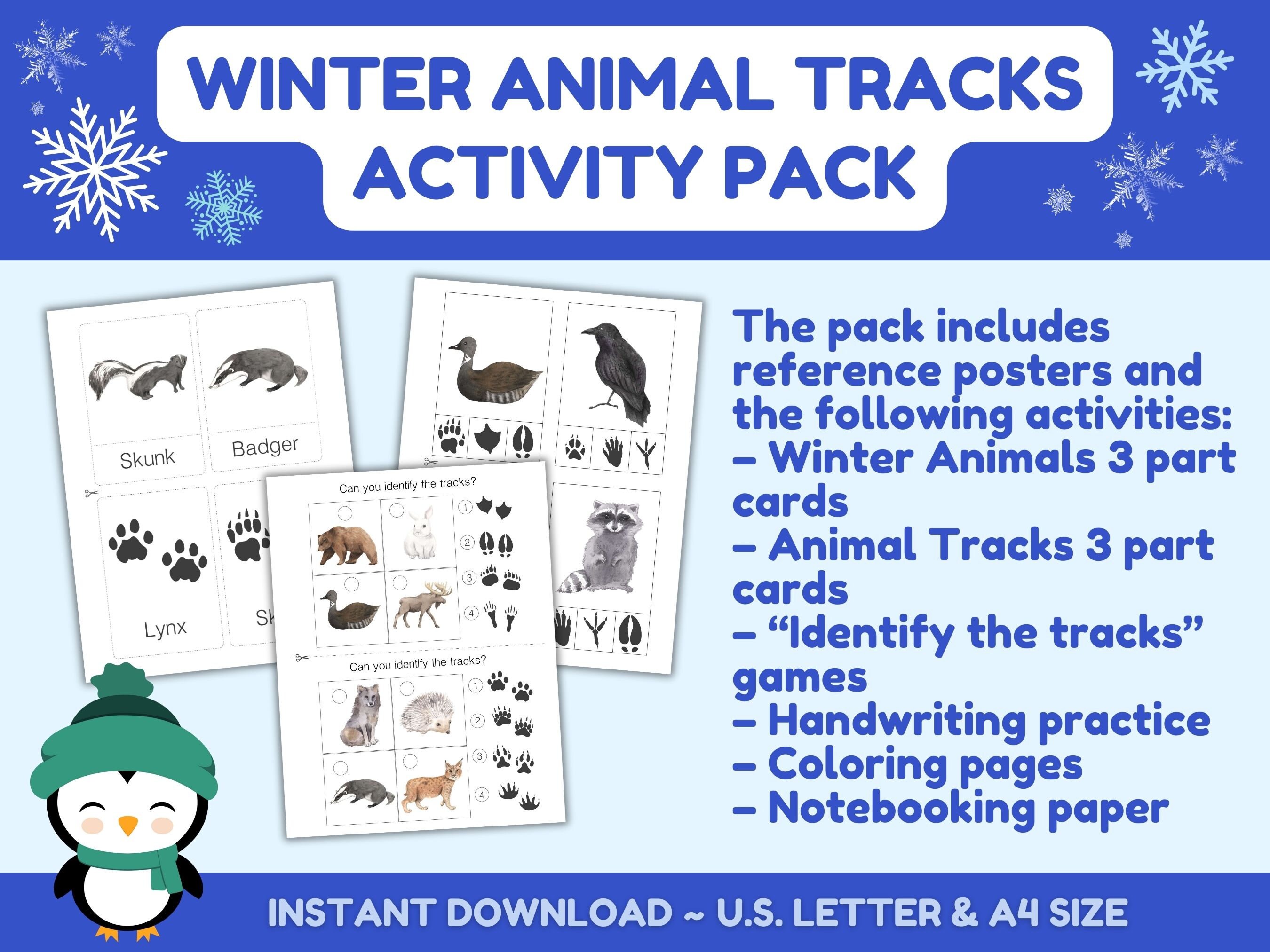Winter Animal Tracks Activity for Kids Homeschool Unit Study 3 Part ...