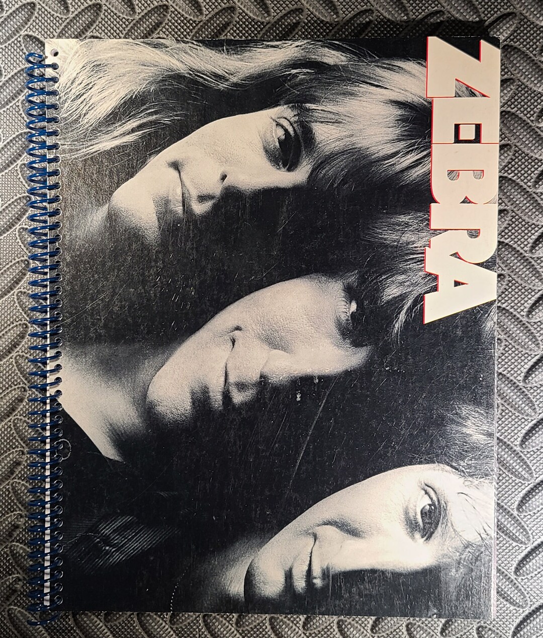 ON SALE Zebra "zebra" Handmade Vintage Recycled Record Album Cover ...