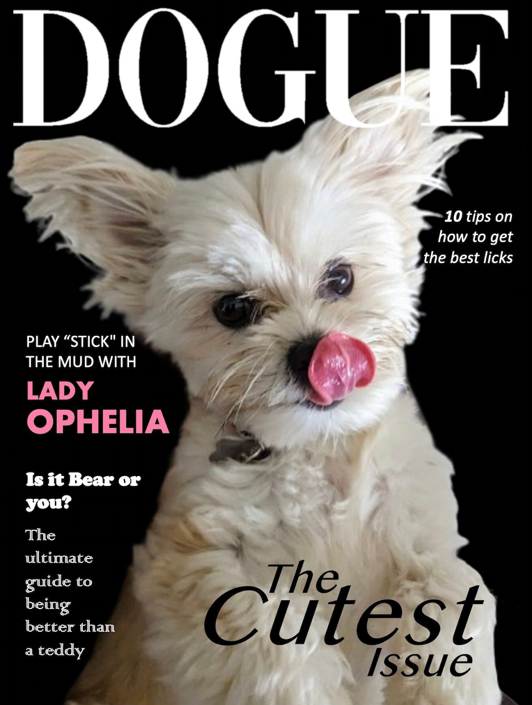 Dogue, Dog Magazine, Personalised Photo Gift, Digital or Framed - Etsy