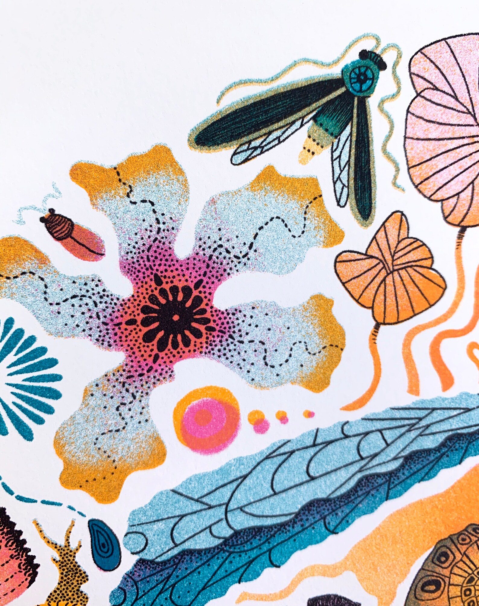 Insect World - Etsy