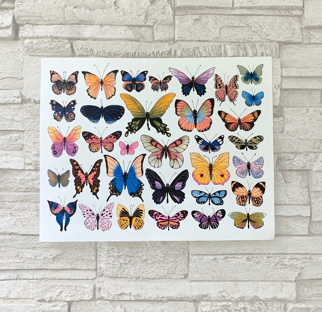 Butterfly Diversity Risograph Print - Etsy