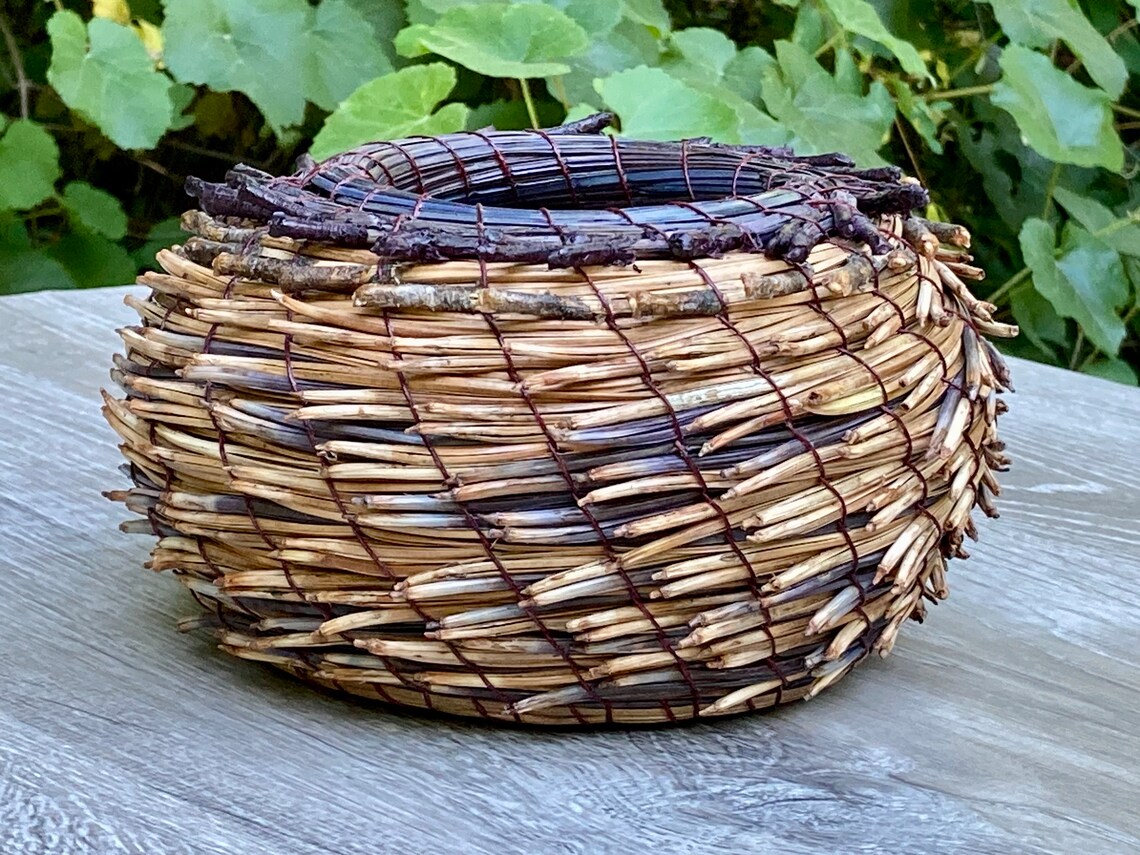 Rare Torrey Pine-needle Spiky Hedgehog Basket, Dark Purple & Natural ...