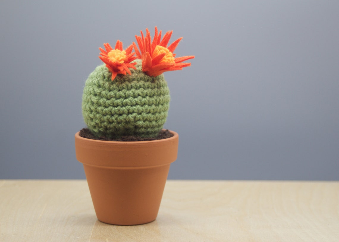 Barrel Crocheted Cactus With Flower/ Working Space Decoration/ - Etsy