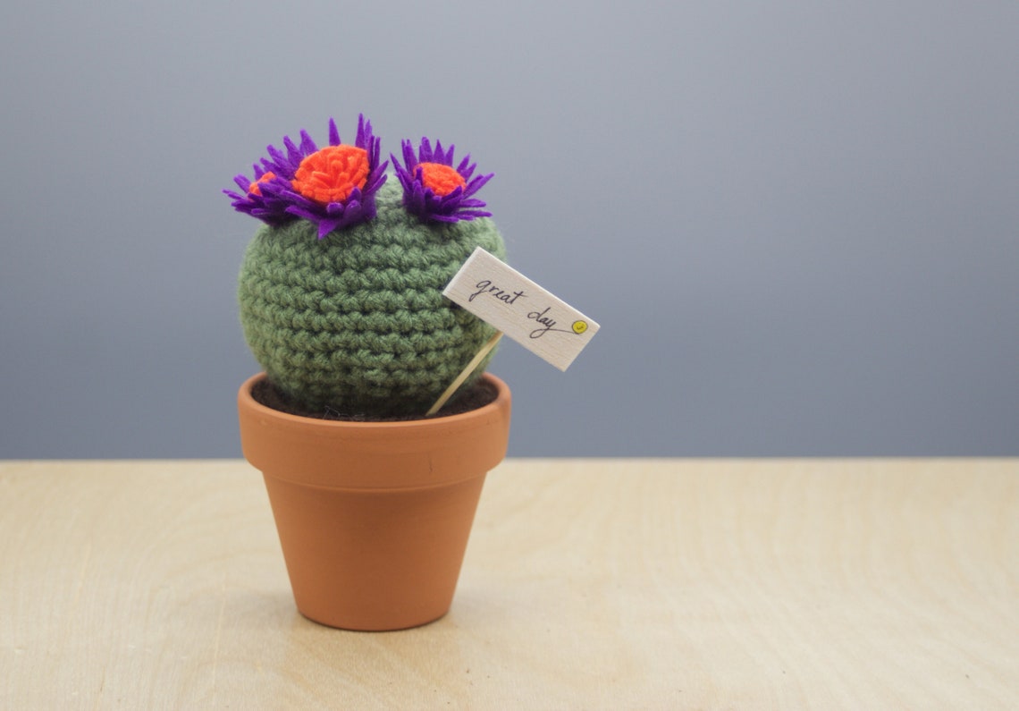 Barrel Crocheted Cactus With Flower/ Working Space Decoration/ - Etsy