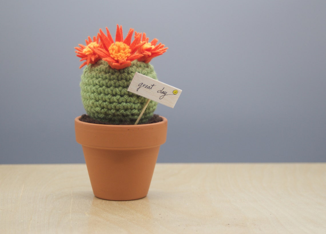 Barrel Crocheted Cactus With Flower/ Working Space Decoration/ - Etsy