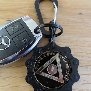 AA Chip Keyring W/ Carabiner Clip Display Medallion Key Chain Bicycle ...