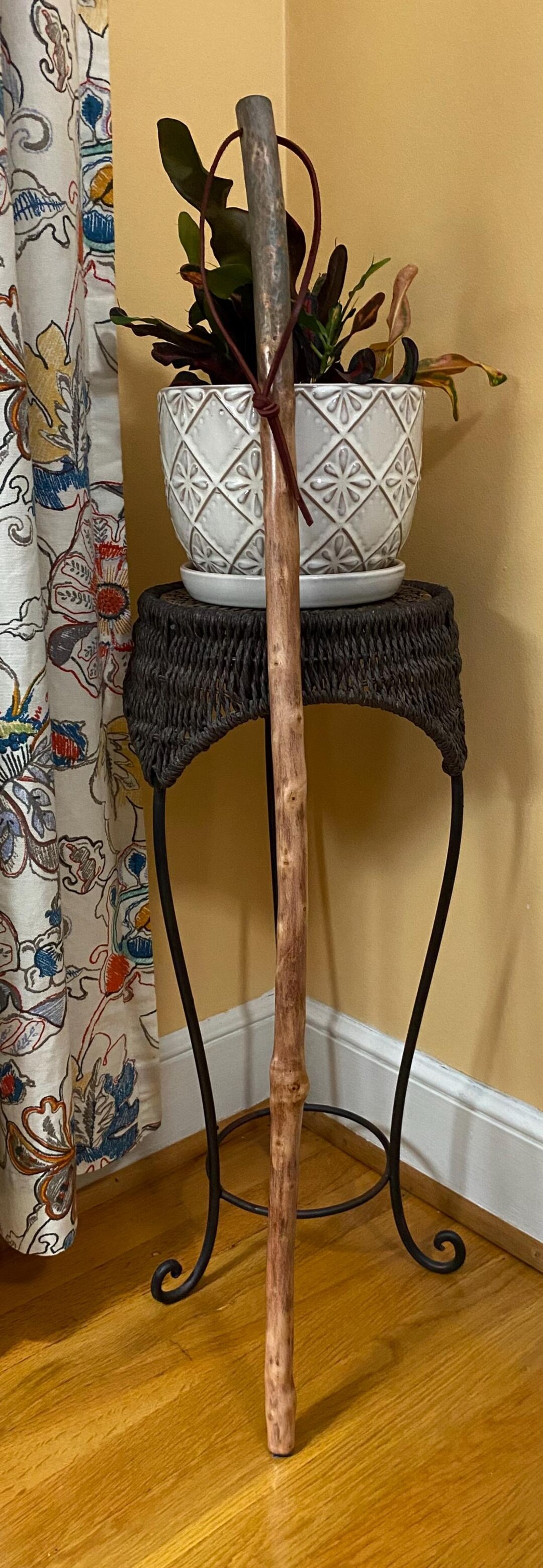 Walking Stick (38") - Made From Salvaged Poplar Tree - Etsy