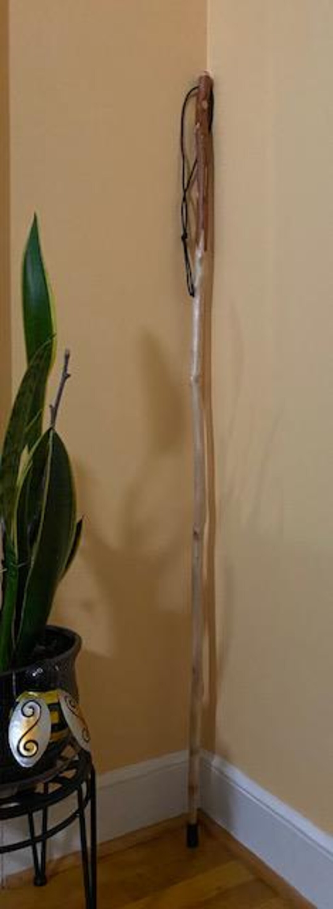 Walking Stick (56") - Made From Salvaged Sassafras Tree - Etsy