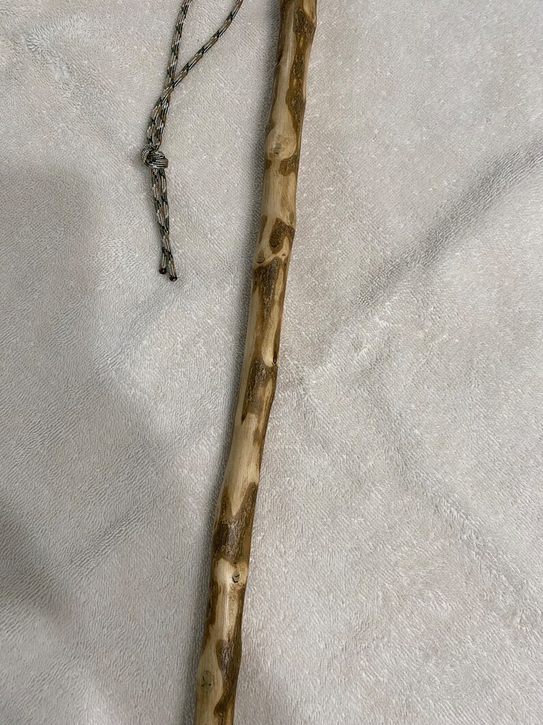 Walking Stick (40") - Made From Salvaged Holly Tree - Etsy