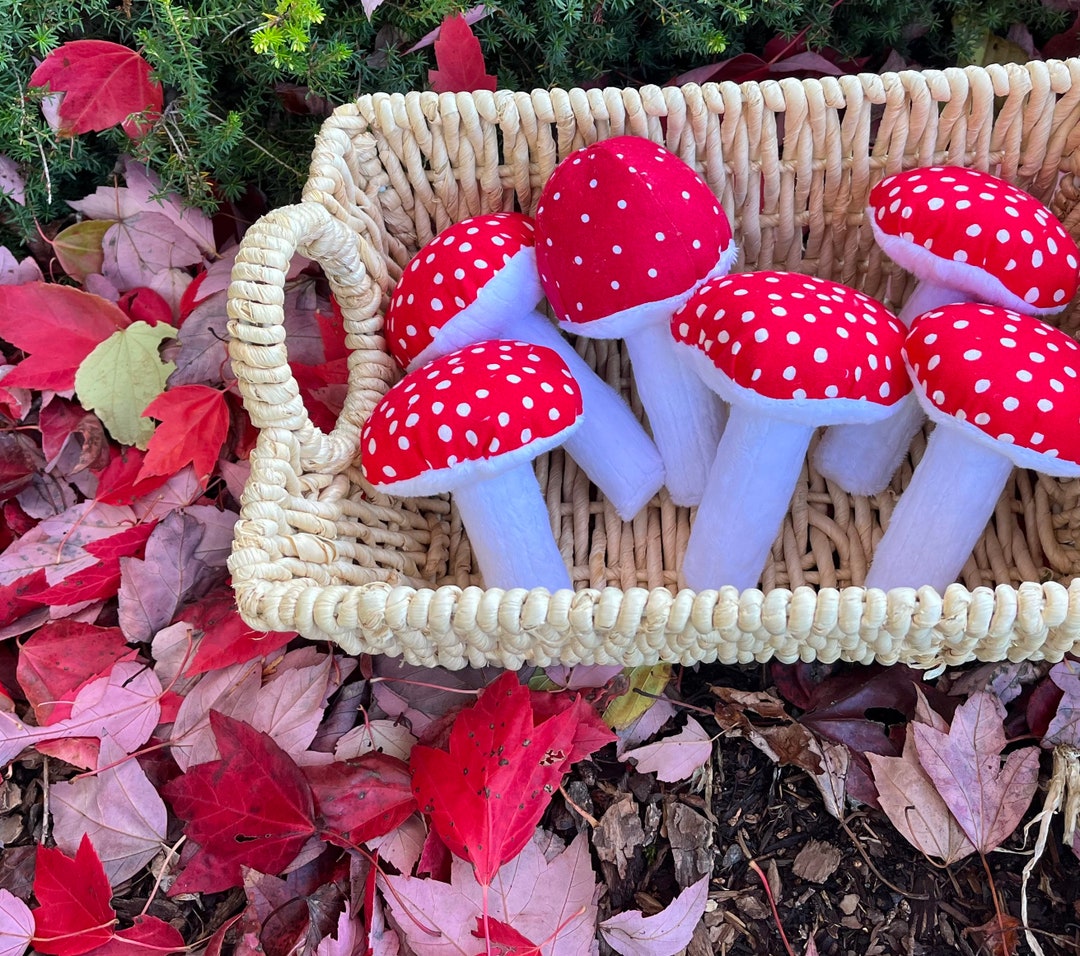 Baby Mushroom Rattle | Toadstool Baby Toy | Sensory Toy | Baby Shower ...